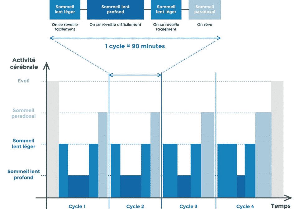 Les secrets du sommeil - S-CAMP